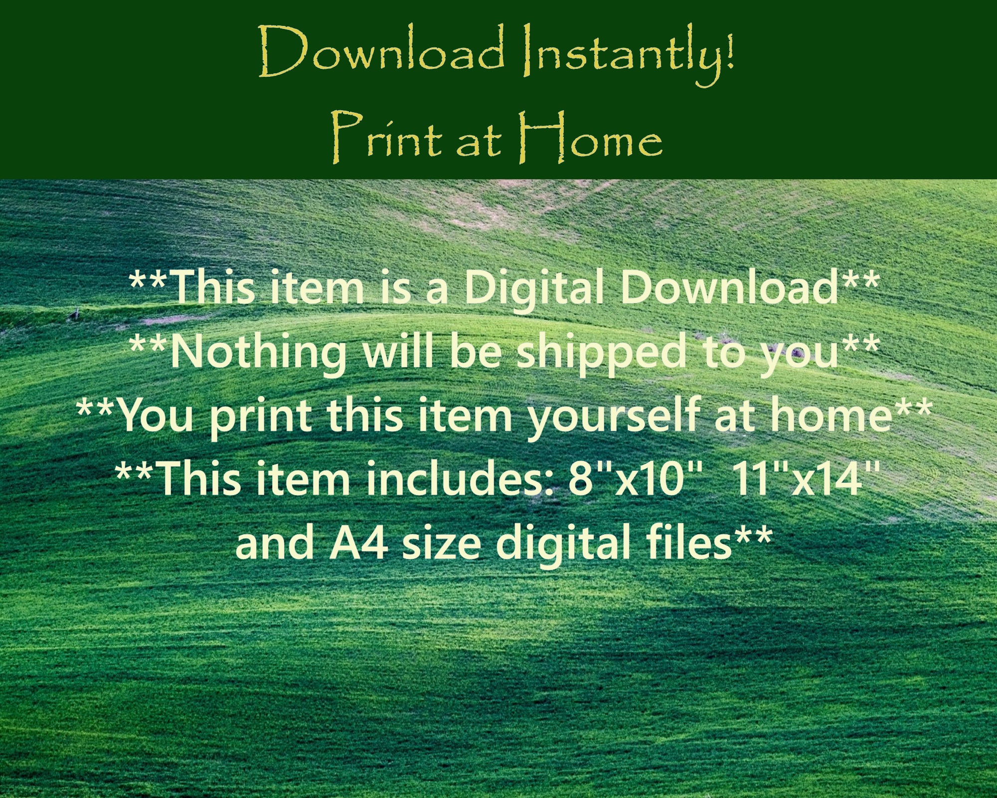 Set of 2 Nature Tree Trunk Abstract Digital Download Art - Etsy UK