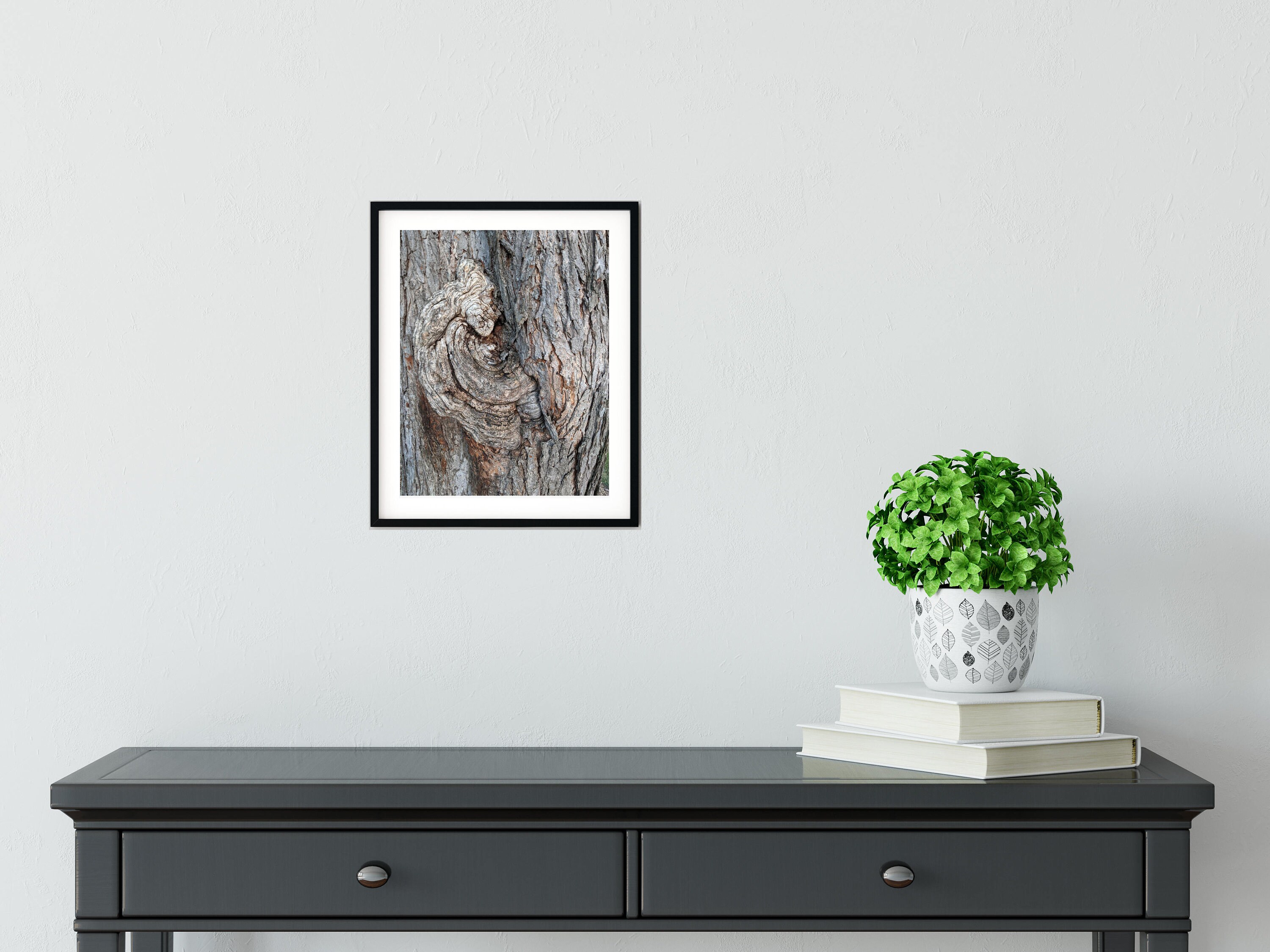 Abstract Tree Trunk Photo Digital Download - Etsy