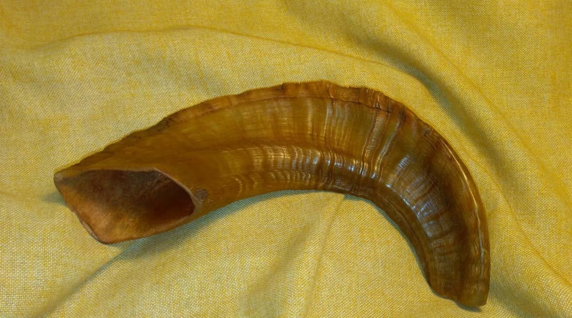 Viking Blowing Horn, Bukkehorn, Viking Horn Instrument, Bugle, Signal ...