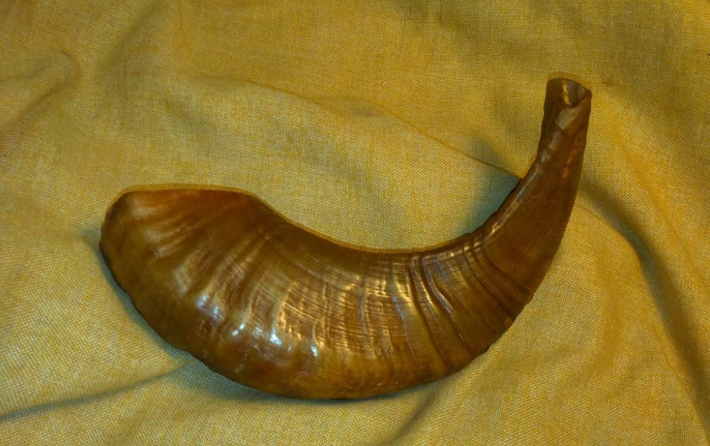 Viking Blowing Horn, Bukkehorn, Viking Horn Instrument, Bugle, Signal ...