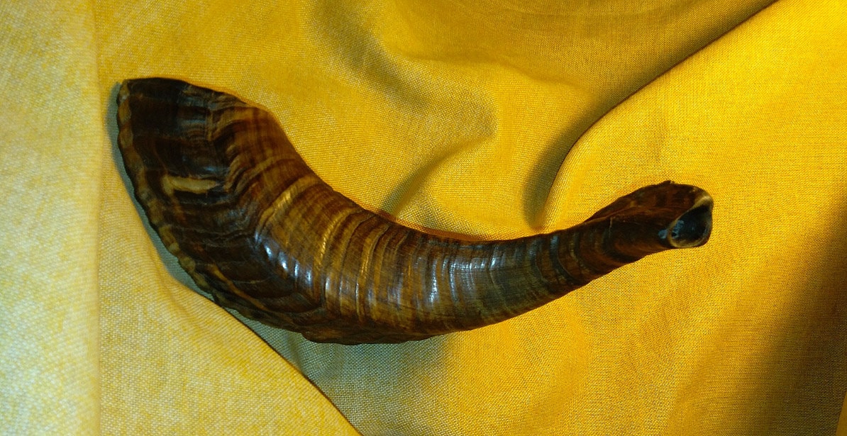 Viking Blowing Horn, Bukkehorn, Viking Horn Instrument, Bugle, Signal ...