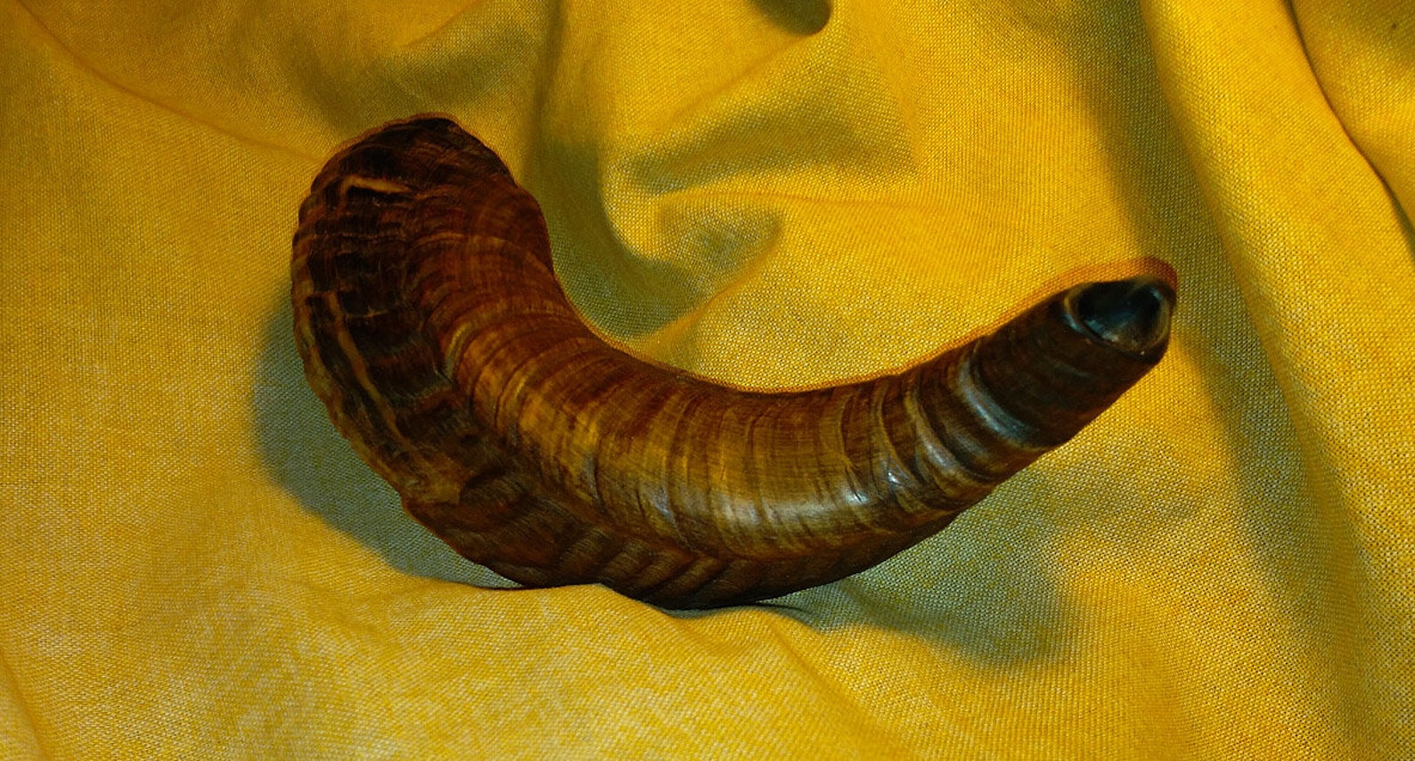 Viking Blowing Horn, Bukkehorn, Viking Horn Instrument, Bugle, Signal ...