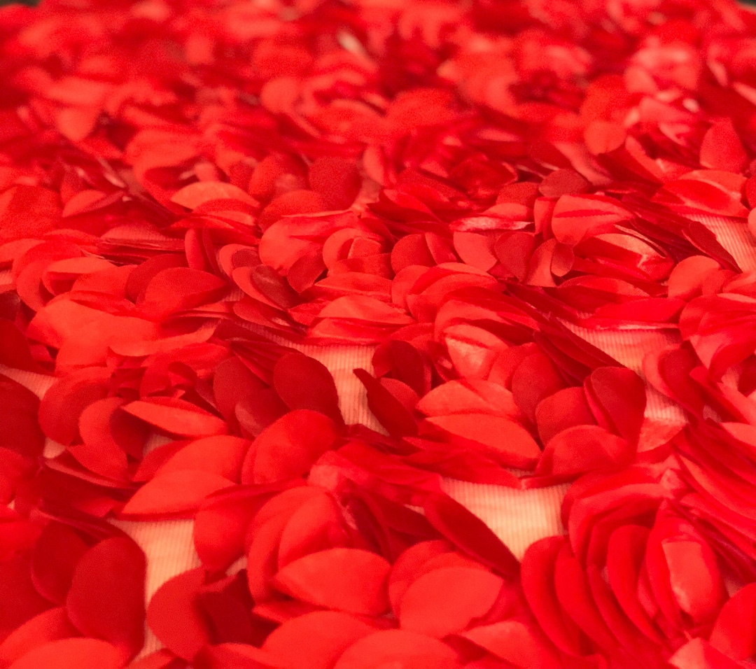 3D Rosette Fabric,red Rosette on Mesh Fabric, 3D Rose Fabric, Rose Red ...