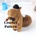 Capybara Crochet Pattern, Capybara Anigurumi Pdf, Plushi Animal Toy ...
