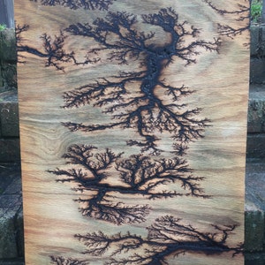 Lichtenberg Etching - Etsy