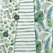 Jungle Nursery Tropical Leaves Digital Paper Eucalyptus Leaves Monstera ...