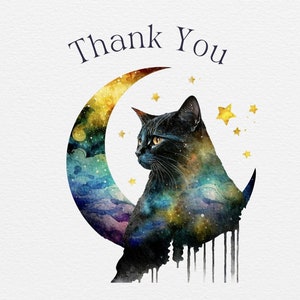 Cat Clipart Png Moon Png Pet Watercolor Cat Png Cartoon Clipart ...