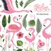 Tropical Flamingo Clipart Summer Clipart Instant Download Nursery Art ...