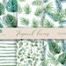 Jungle Nursery Tropical Leaves Digital Paper Eucalyptus Leaves Monstera ...