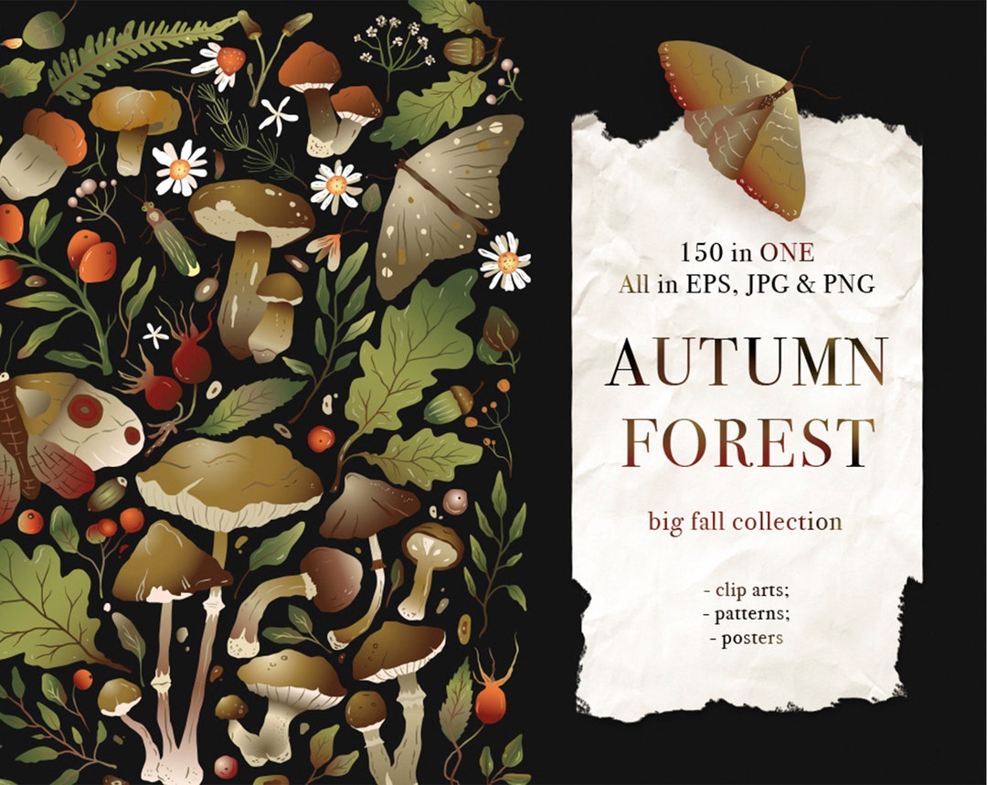 Fall Clipart, Autumn Clipart & Autumn Digital Paper, Forest Clipart for ...