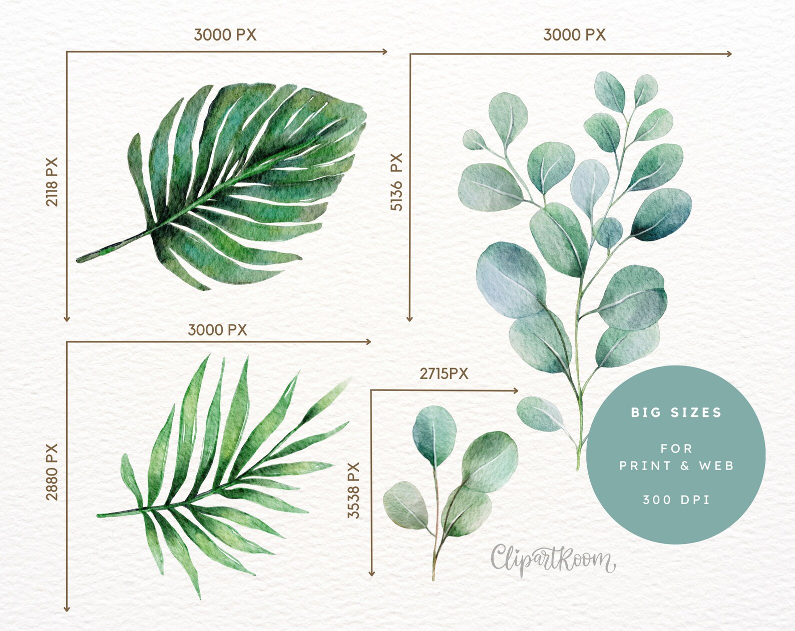 Tropical Clipart Watercolor Clipart Eucalyptus Plant Tropical Leaves ...