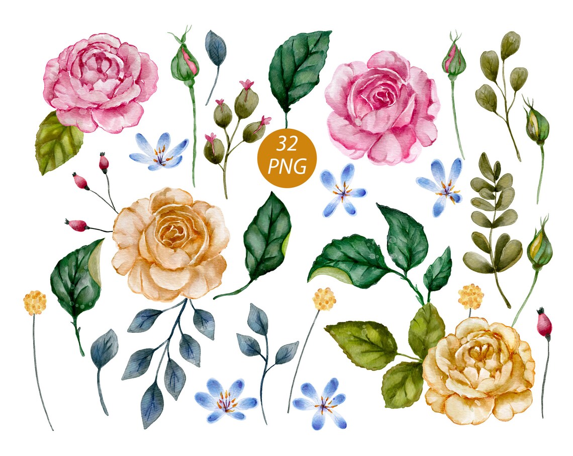 Watercolor Rose Clipart Flower Clip Art Handmade Watercolor - Etsy