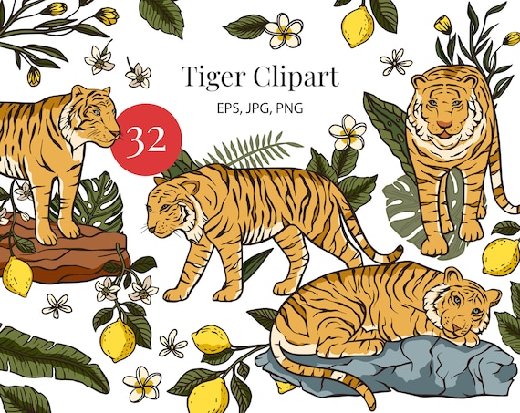 Tiger Print Clip Art