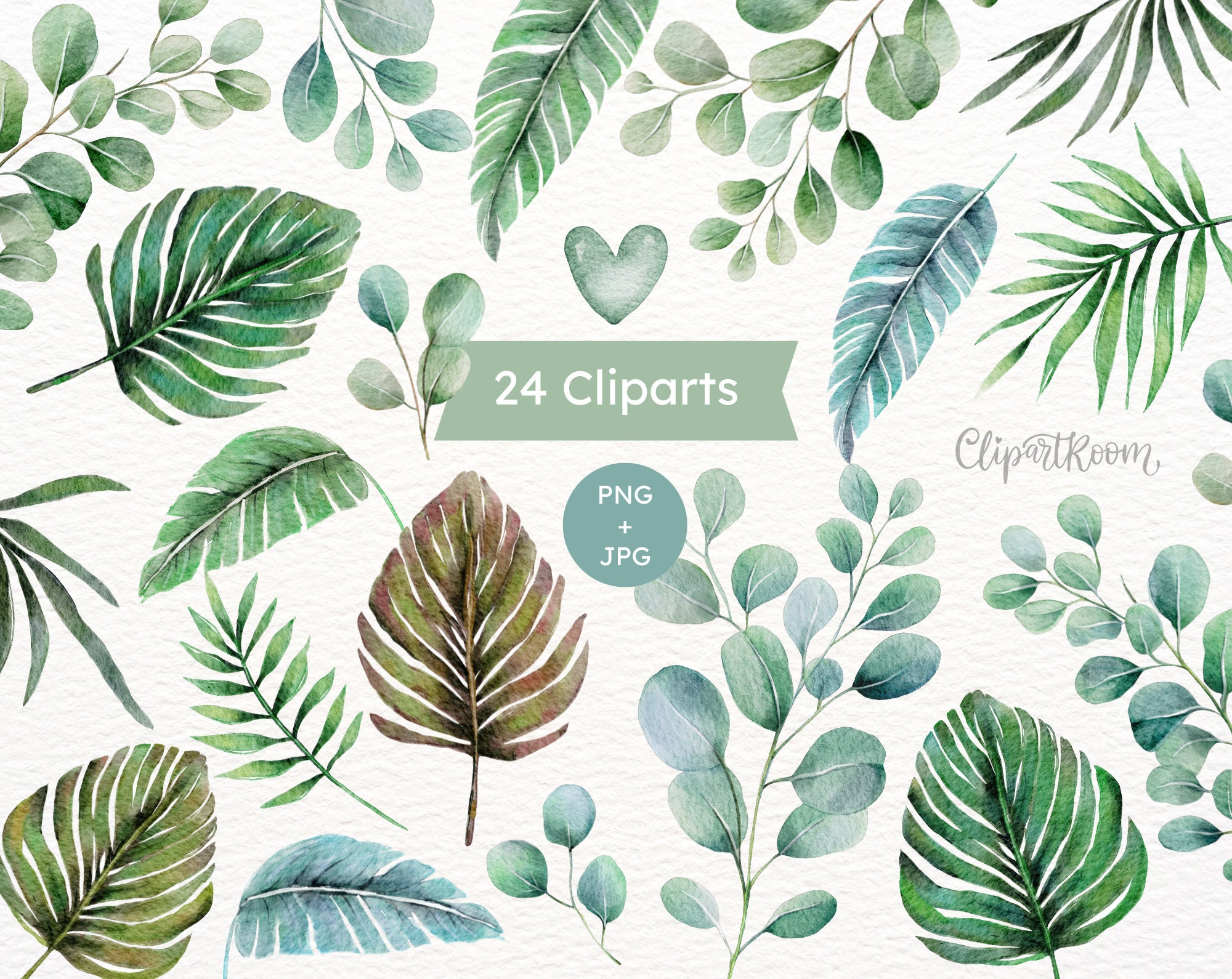 Tropical Clipart Watercolor Clipart Eucalyptus Plant Tropical Leaves ...