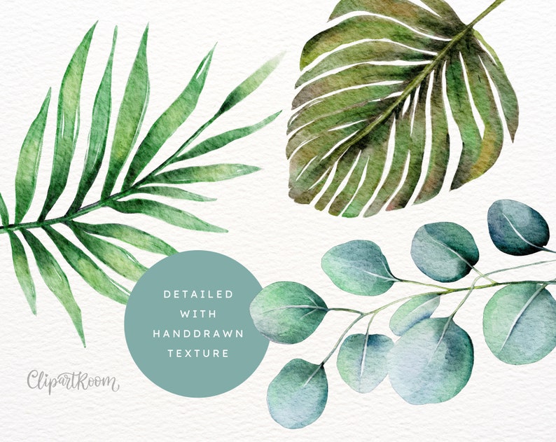Tropical Clipart Watercolor Clipart Eucalyptus Plant Tropical Leaves ...