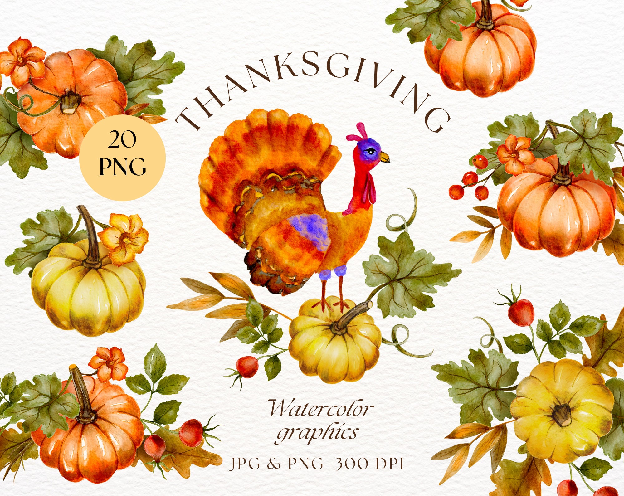 Pumpkin Clipart Thankful Png Thanksgiving Png Fall Watercolor Clipart ...