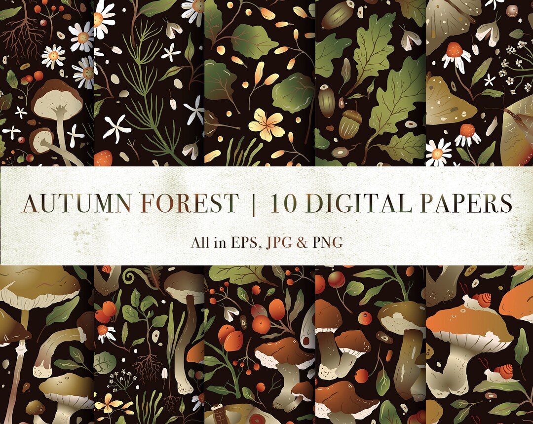 Autumn Digital Paper Fall Digital Paper Floral Graphic Seamless Pattern ...