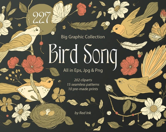 Bird Ornaments Boho Clipart Spring Digital Paper Birds and | Etsy