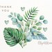 Tropical Clipart Watercolor Clipart Eucalyptus Plant Tropical Leaves ...