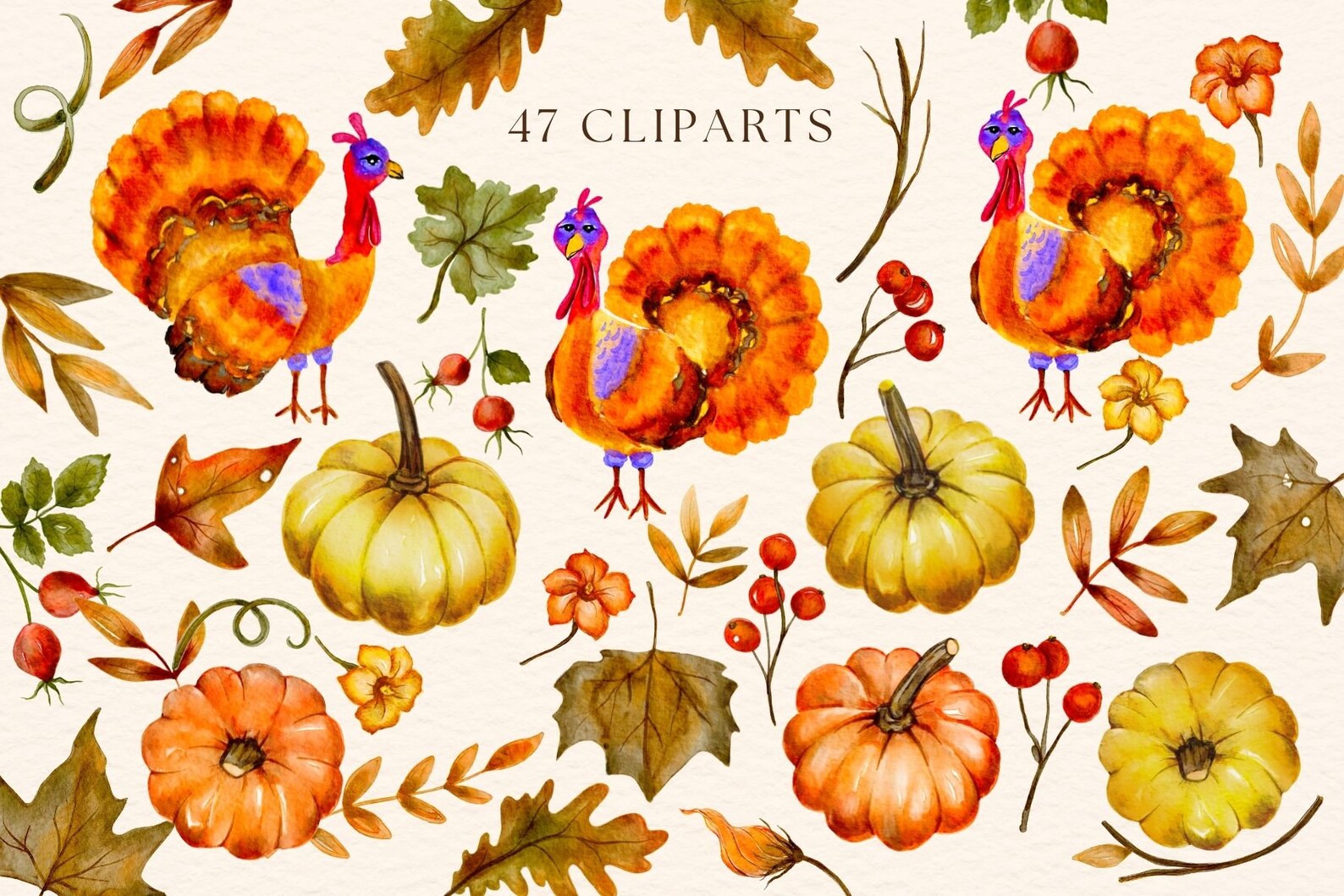 Thanksgiving Clipart Thanksgiving Png Watercolor Pumpkin Png Fall ...