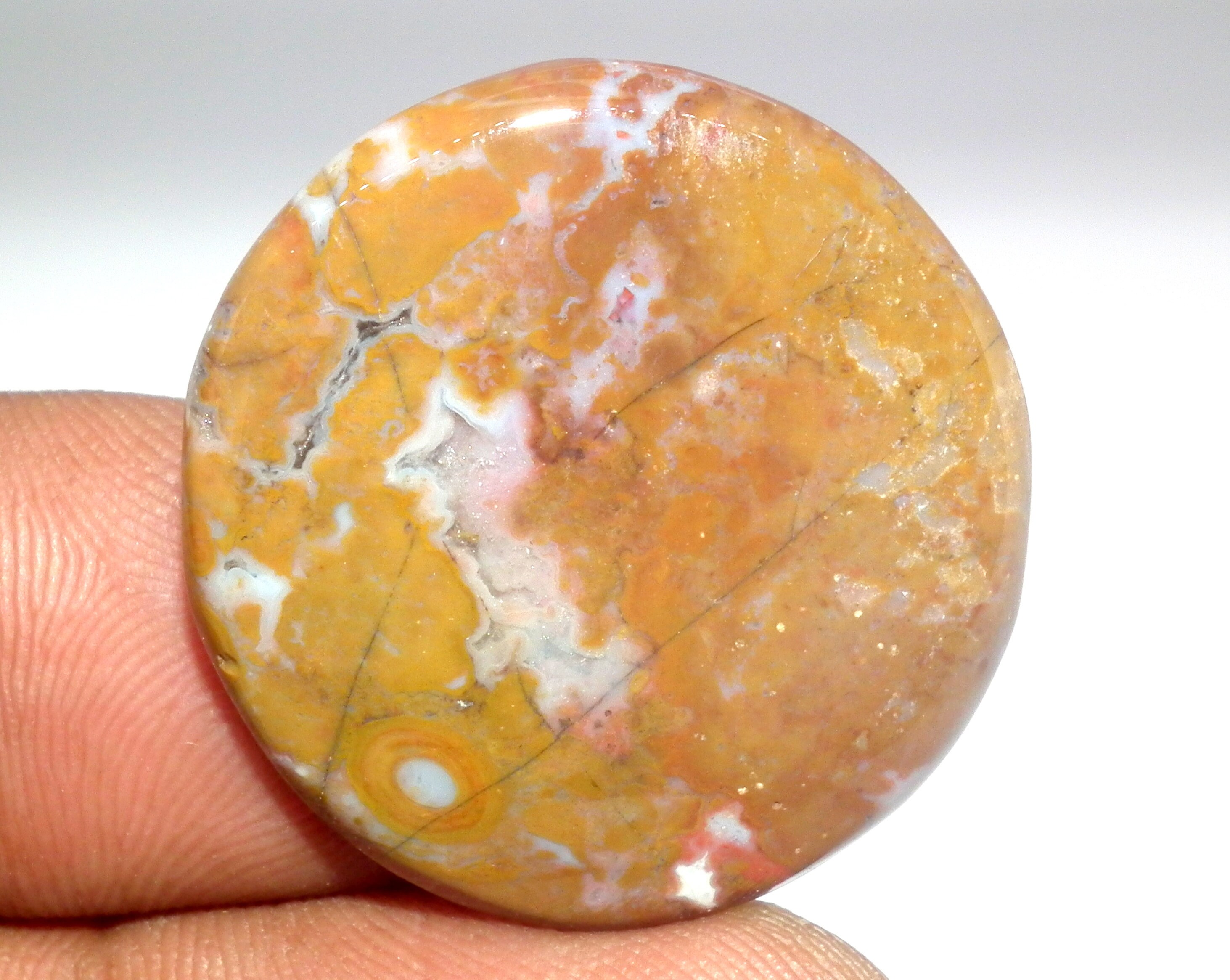 Ágata de raíz de palma fósil cabujón de ágata de raíz de - Etsy España