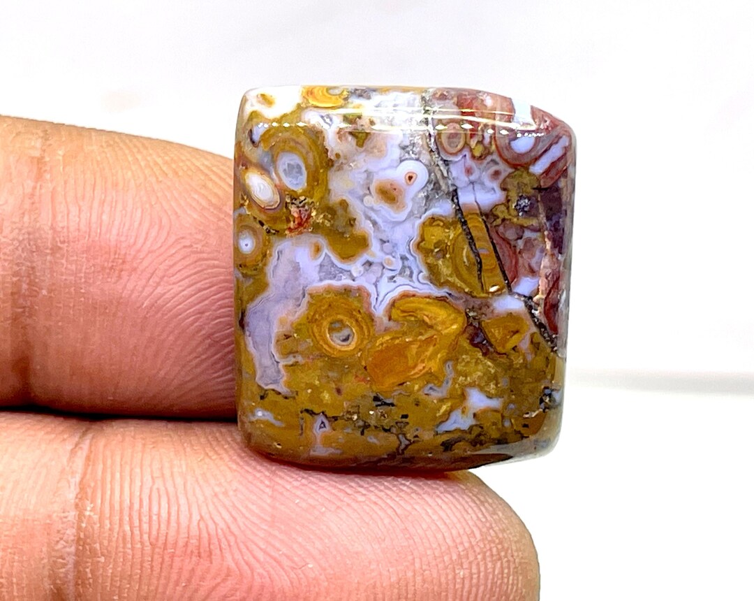 Fossil Palm Root Agate,gemstone,fossil Palm Root Cabochon,cushion Shape ...