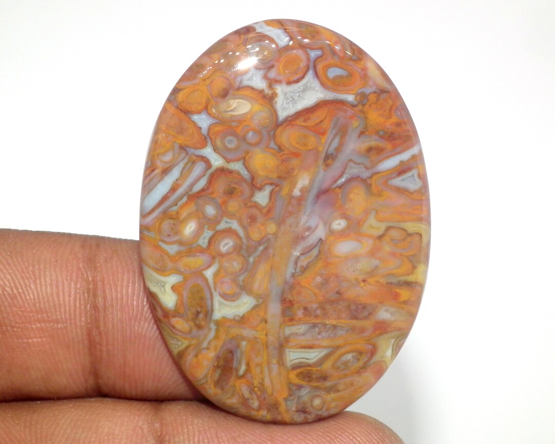 Fossil Palm Root Agate, Palm Root Agate Cabochon,oval Shape Fossil Palm ...