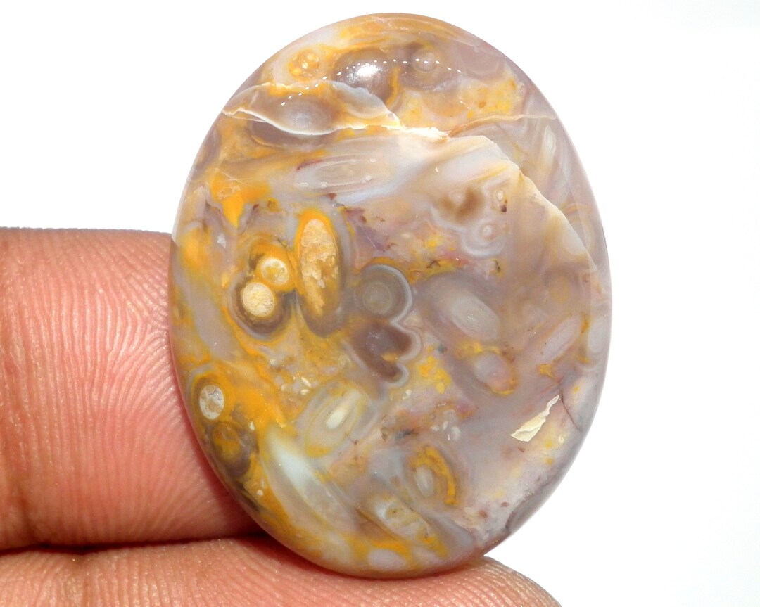 Fossil Palm Root Agate, Palm Root Agate Cabochon,oval Shape Fossil Palm ...