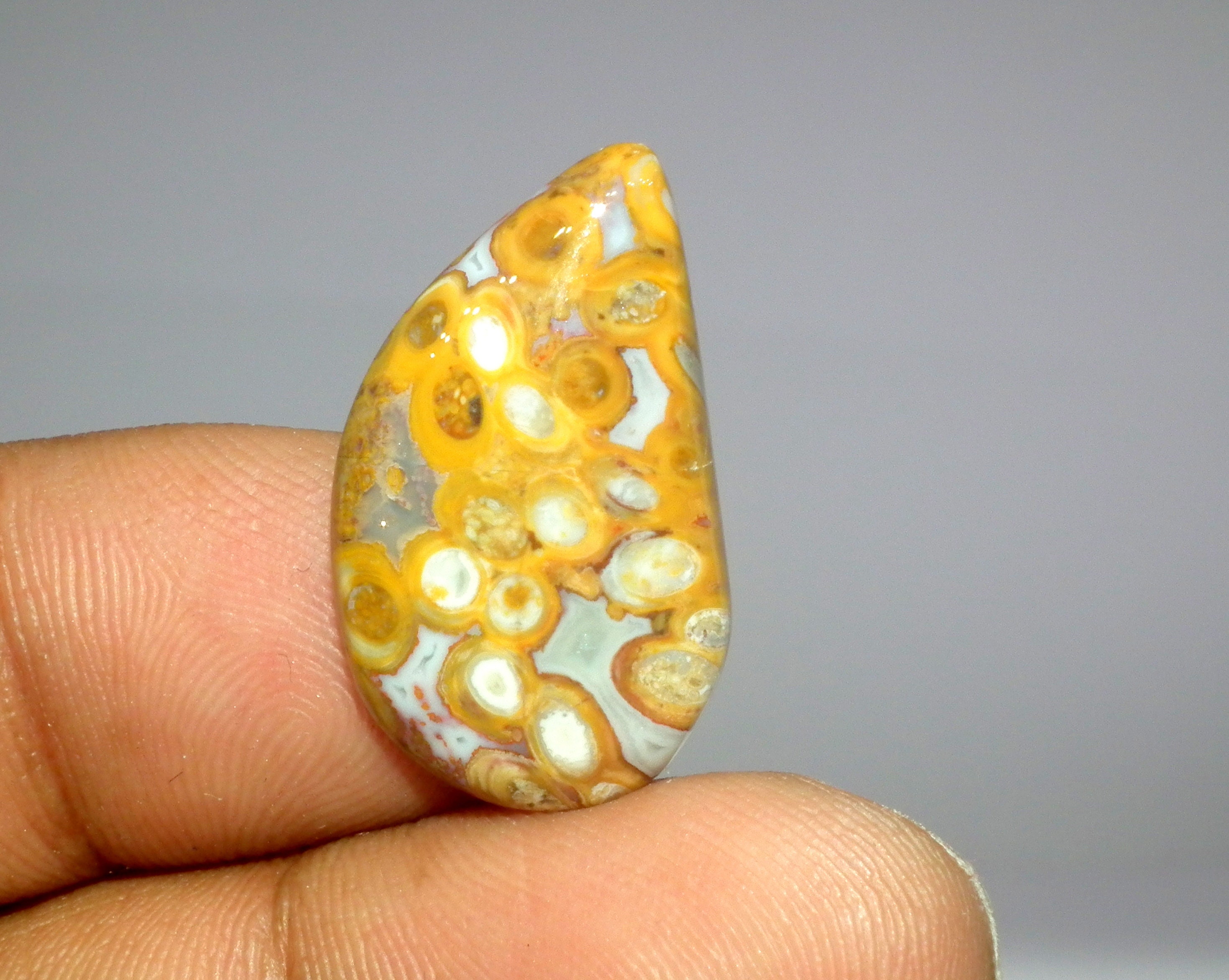 Fossil Palm Root AgatePalm Root Agate Cabochon Freeform | Etsy