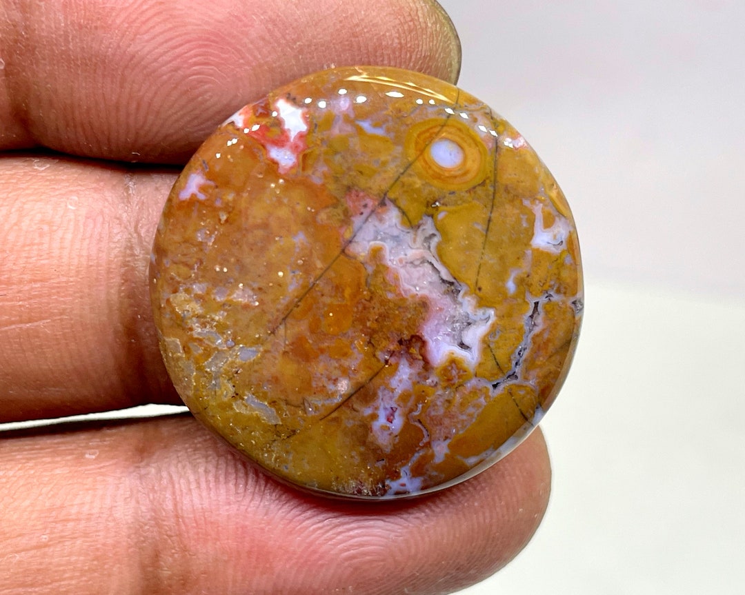 Ágata de raíz de palma fósil, cabujón de ágata de raíz de palma ...