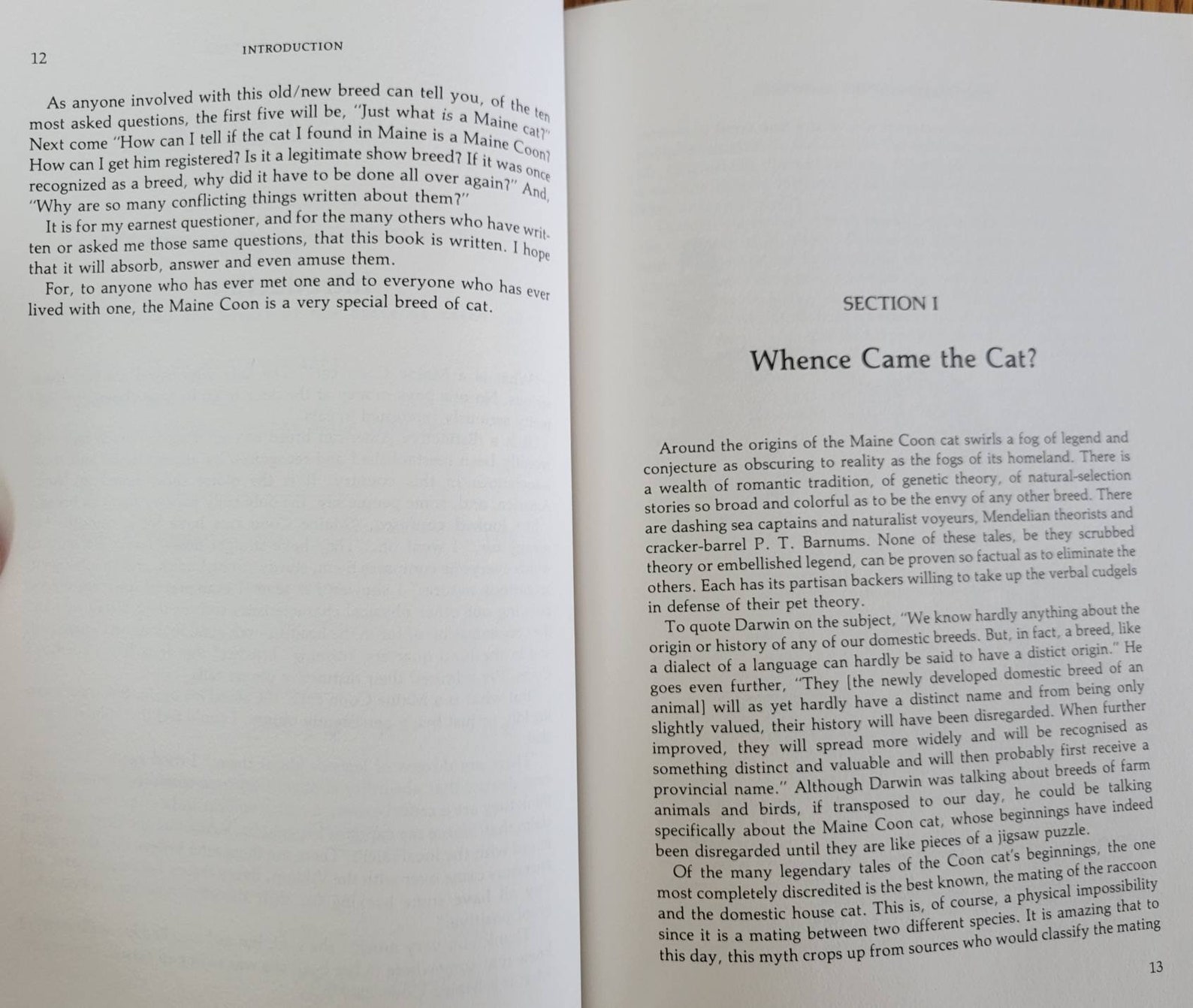 1986 That Yankee Cat the Maine Coon Marilis Hornidge - Etsy