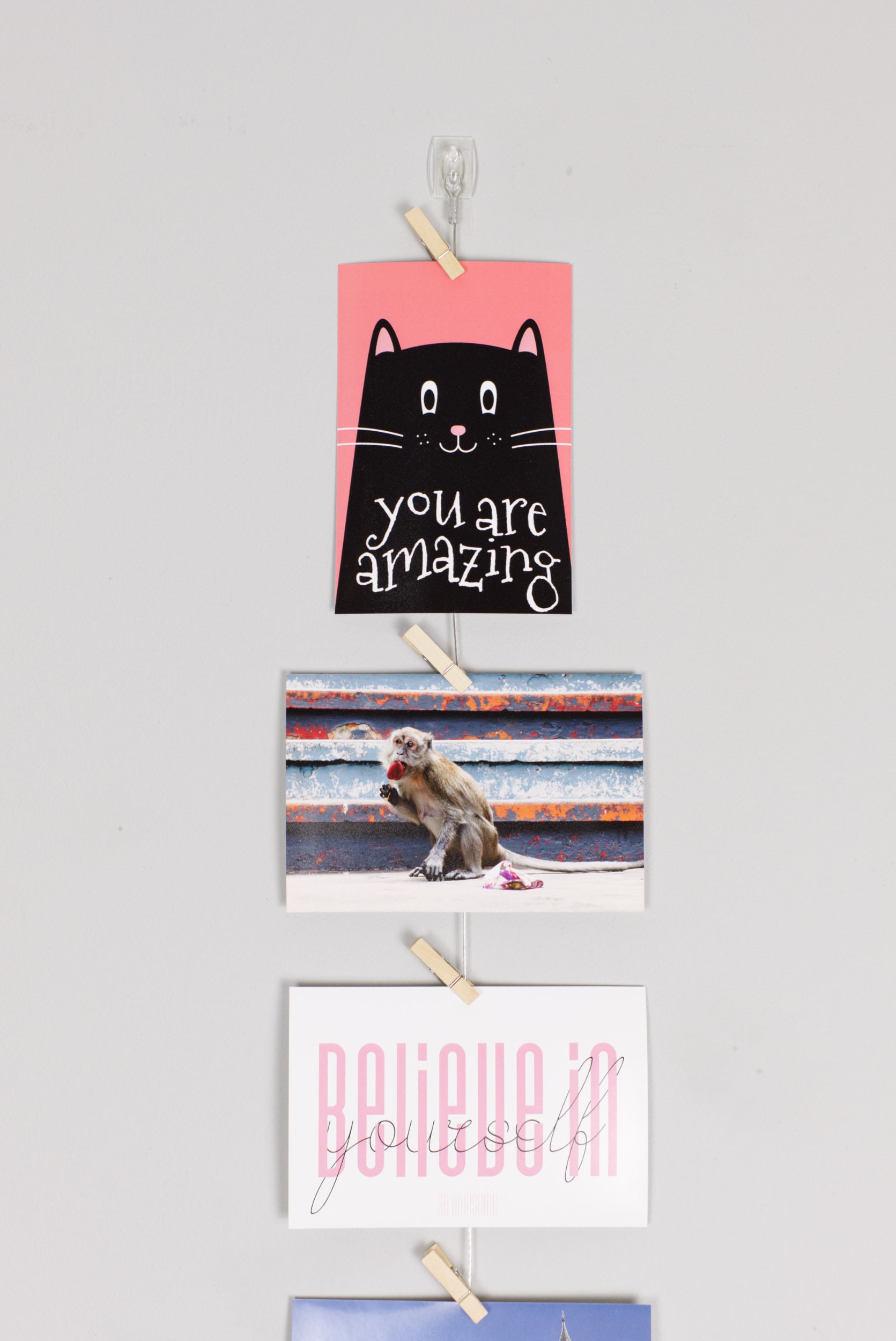 Vertical Cable Photo Display, Home Decor Clothespeg Picture Hanger ...