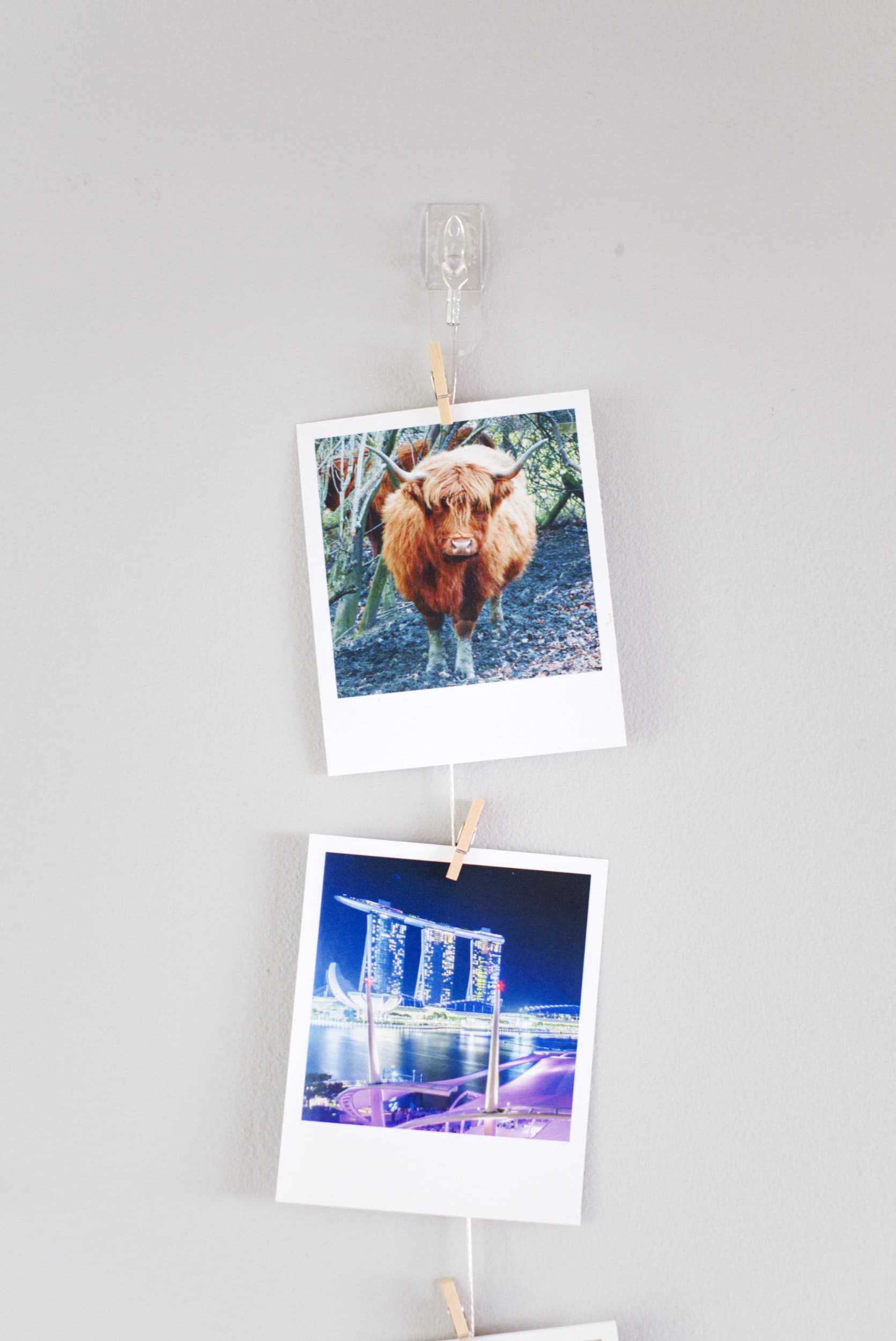 Vertical Cable Photo Display, Room Decor Clothespeg Wire Picture Hanger ...
