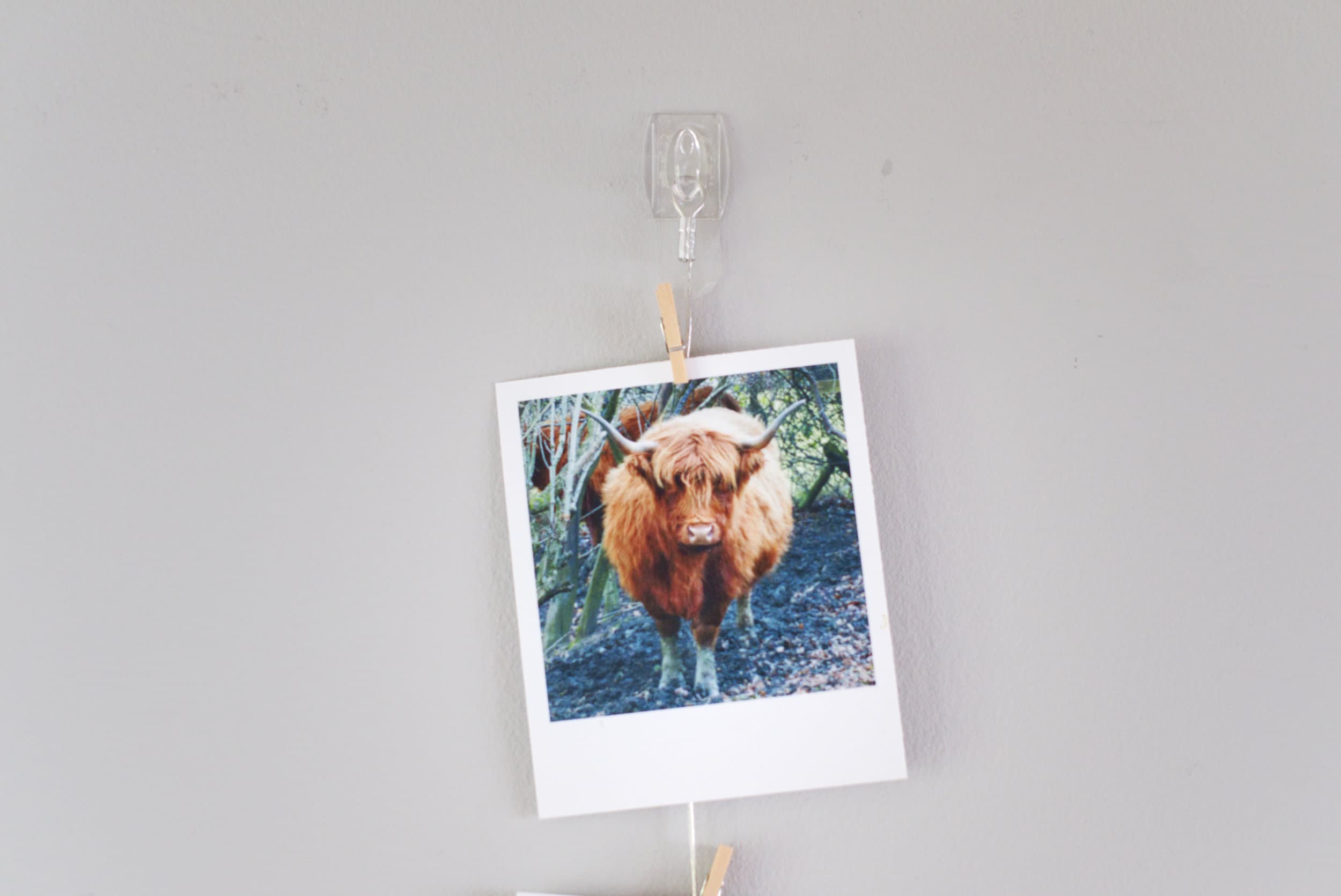 Vertical Cable Photo Display Room Decor Clothespeg Wire | Etsy