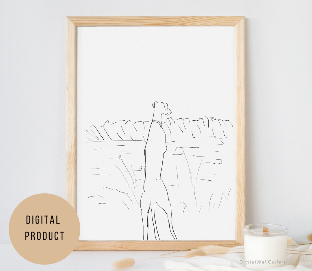 Curious | Greyhound Sketch Art, Greyhound Line Art, Dog Sketch, Dog ...