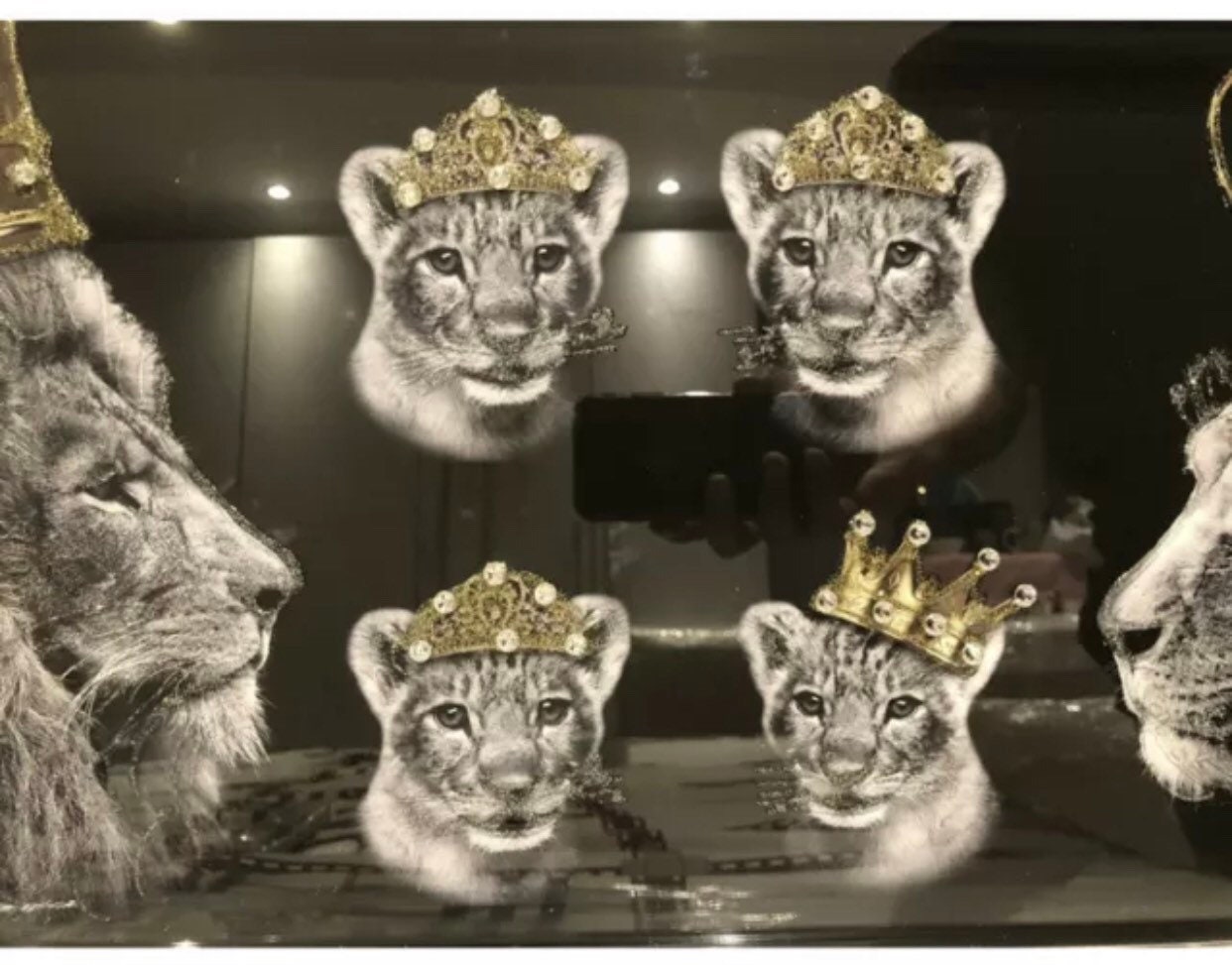 Lion Family Picture Liquid Art Chrome Frame King Queen and Cubs ...