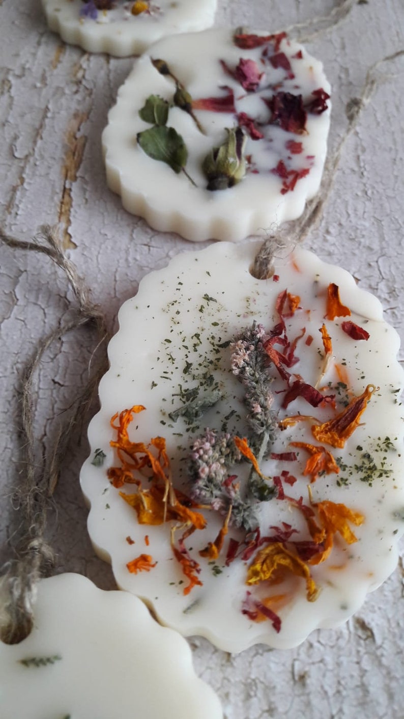 Scented Wax Sachets Set Scented Wax Tablets Wedding Favors - Etsy