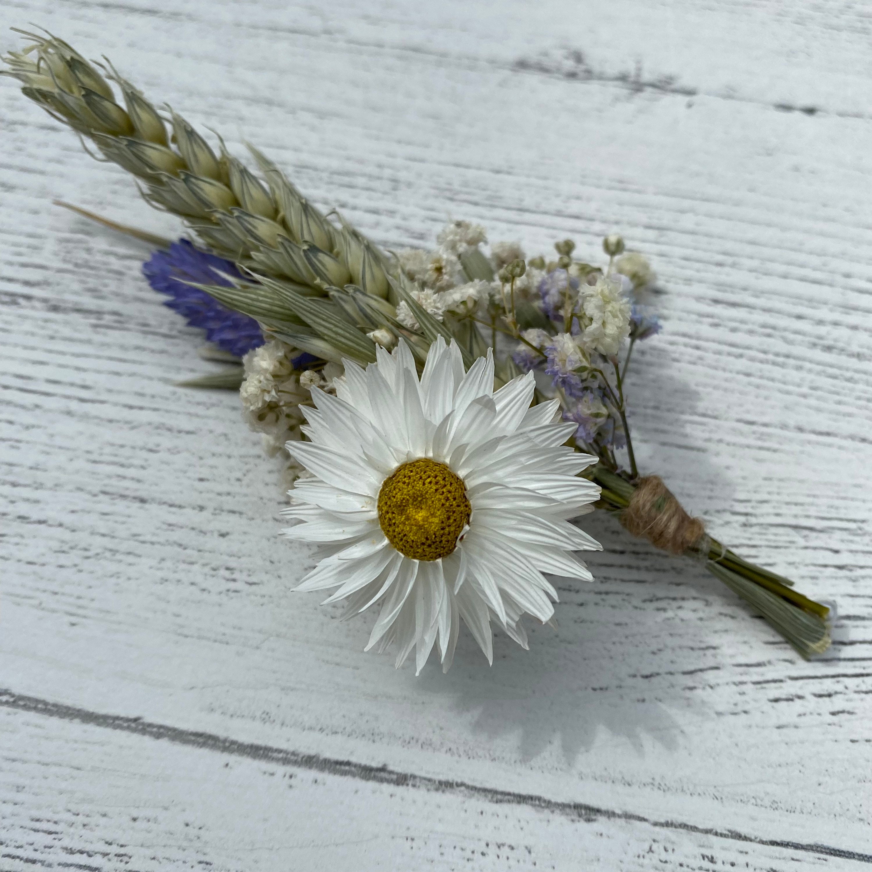 Daisy Buttonhole Wedding Dried Flower Buttonholes Corsage | Etsy