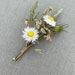 Daisy Buttonhole, Wedding Dried Flower Buttonholes, Corsage, Natural ...