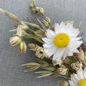 Daisy Buttonhole, Wedding Dried Flower Buttonholes, Corsage, Natural ...