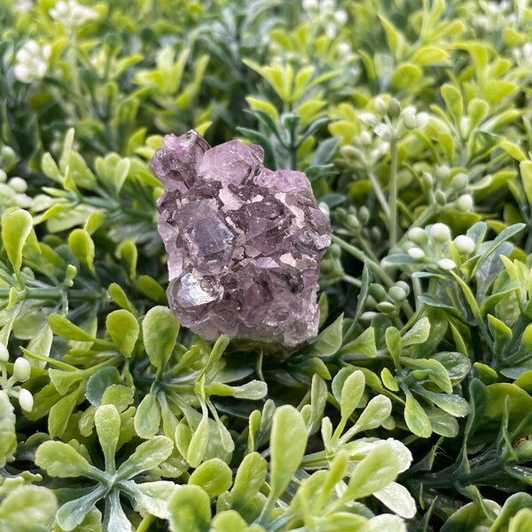 Shop Amethyst Cluster - Etsy