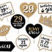 29th Birthday Printable Photo Booth Props - 10 Signs Instant Download ...