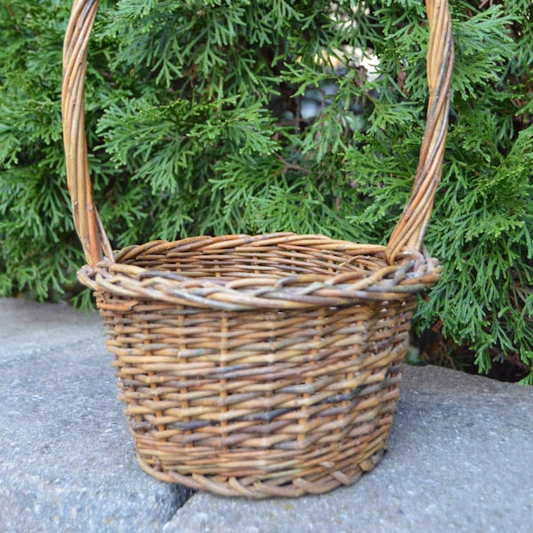 Grapevine Planter - Etsy