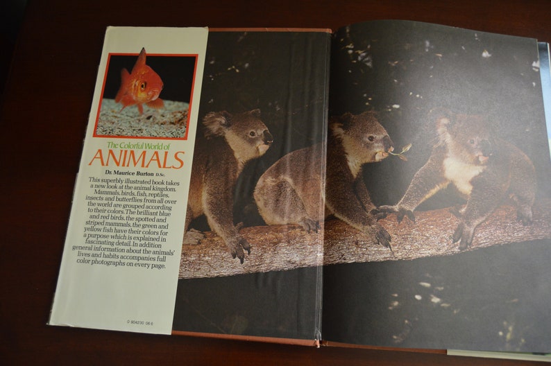 1975 the Colorful World of Animals Hardcover Book - Etsy
