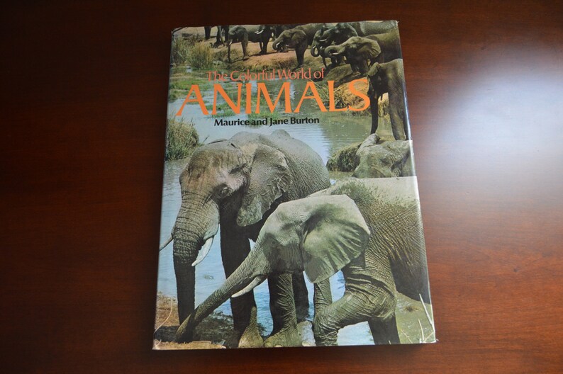1975 the Colorful World of Animals Hardcover Book - Etsy