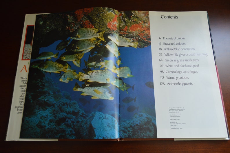 1975 the Colorful World of Animals Hardcover Book - Etsy