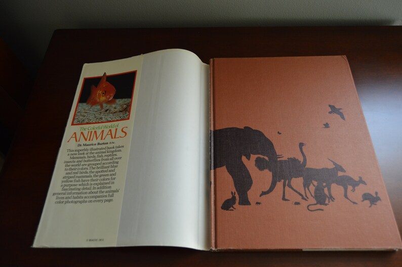 1975 the Colorful World of Animals Hardcover Book - Etsy
