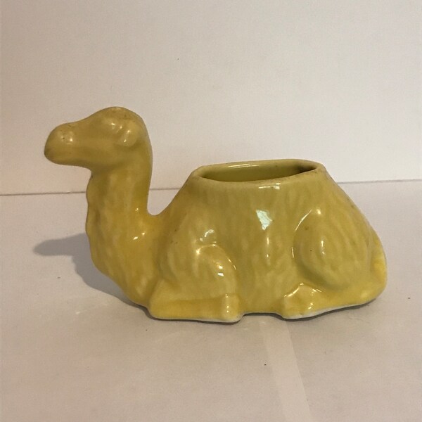 Camel Planter - Etsy