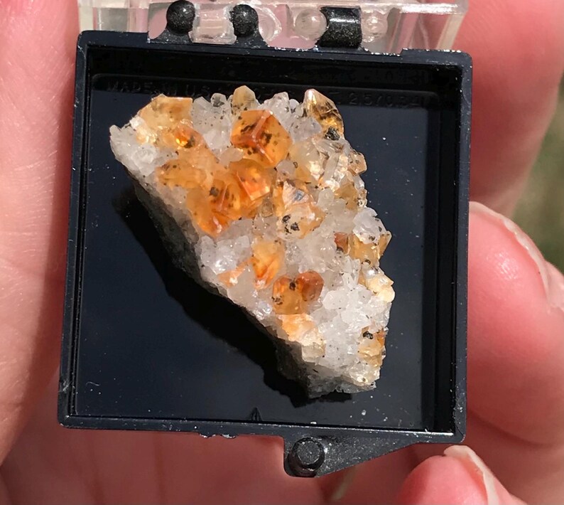 Yellow Calcite Thumbnail Mineral Specimen in Display Case From New ...