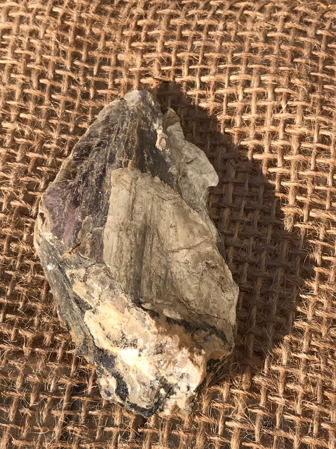 Biotite Mica Specimen in Display Case Rock Mineral Geology Chakra - Etsy